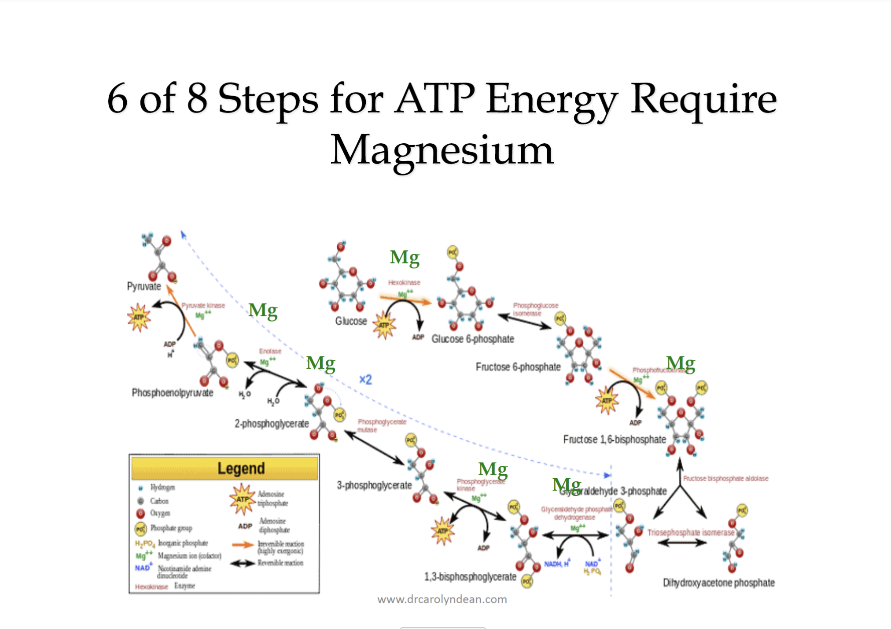 Mitochondria and Magnesium - A Cellular Energy Essential - Dr Carolyn ...