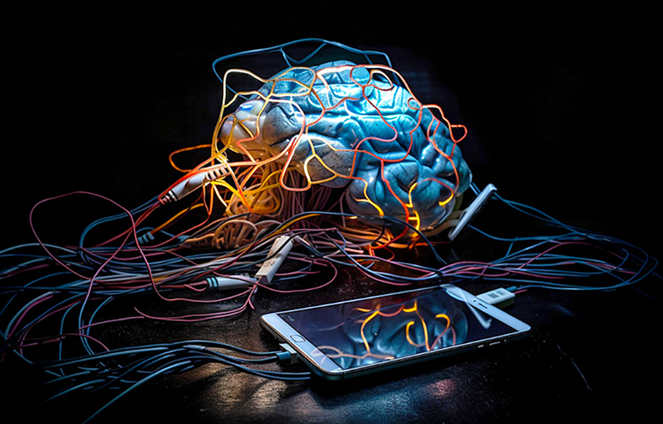 Media: Mixed Messaging for Your Brain - Dr Carolyn Dean MD ND